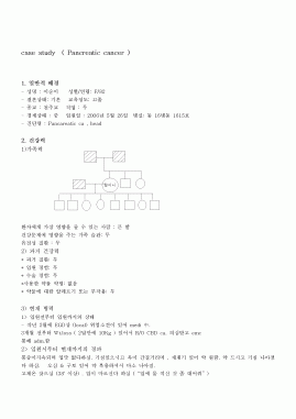 췌장암 케이스 간호과정-1페이지