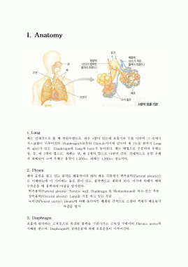 폐암의 문헌고찰-1페이지