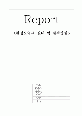 환경오염의실태미대책방법<황사>-1페이지