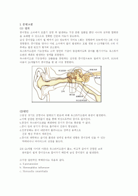 급성중이염-1페이지