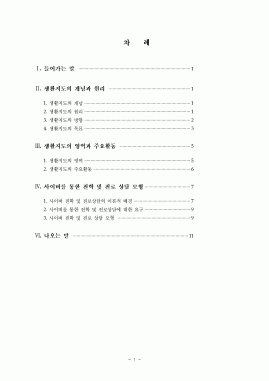 효율적 생활지도-사이버상담-1페이지