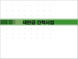 새만금 사업 [사회과학]-1페이지