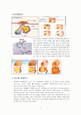 여드름의 원인과 관리 및 치료-1페이지