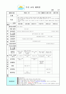 보육계획안(일일, 주간)-1페이지