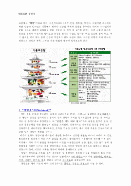 영양소의 과잉과 부족증에 대한 레포트-1페이지