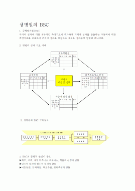 샘 병원의 BSC-1페이지