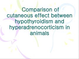 내분비성 피부질환(Endocrine dermatopathy )과 갑상선기능저하증(Hypothyroidism),Hyperadrenocorticism(Cushings syndrome) 에 관한 발표자료//특A급 수의대생들이 직접제작-1페이지