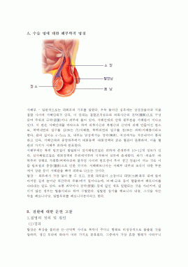 서혜부탈장 (hernia)-1페이지