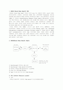 WWW (World Wide Web)의 개요-1페이지