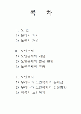 우리나라 노인복지의 문제점-1페이지