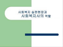 [사회복지] 사회복지 실천현장-1페이지