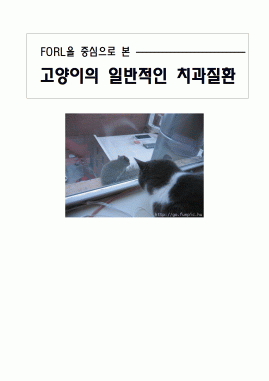 고양이의 일반적인 치과질환 (고양이 치아의 구조와 대표적 치아 질환 및 고양이 치아 관리 방안)-1페이지