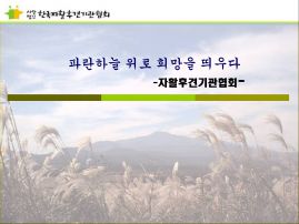 자활후견기관과 자활후견기관 협회의 설립목적, 활동, 사업평가, 문제점, 개선방안 제언-1페이지