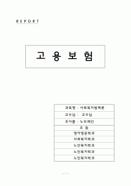 [사회복지정책론] 고용보험-1페이지