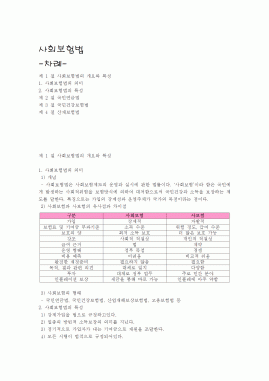 사회보험법 [분석/조사]-1페이지