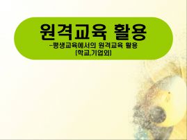 원격교육 활용 -평생교육에서의 원격교육 활용 (학교,기업외)-1페이지