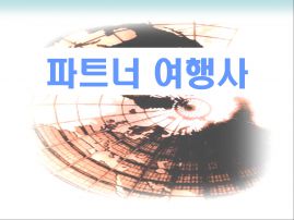 [마케팅] 파트너 여행사 소개 분석-1페이지