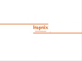 하이닉스-1페이지