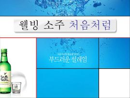 [사회과학] 처음처럼 광고 분석-1페이지