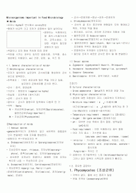 식품 미생물학에서의 mold, yeast , bacteria-1페이지