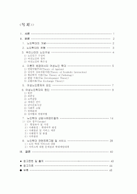 노인학대의 개념 유형 우리나라의 노인구성 이론적 배경에서의 여성노인 학대-1페이지