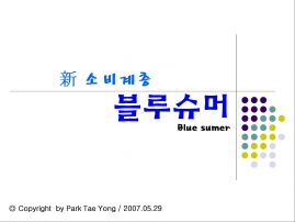 블루슈머 마케팅-1페이지