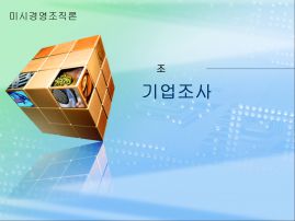 미시경영 기업조사-1페이지