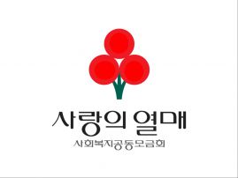 사회복지공동모금회(A+발표)-1페이지