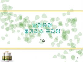 남양유업 불가리스 프라임 마케팅 전략-1페이지