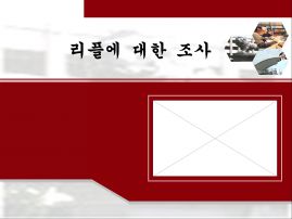 리플에 대한 조사-1페이지