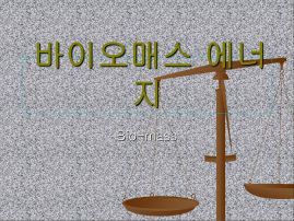 바이오매스 에너지-1페이지