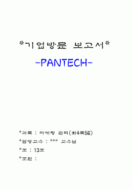 팬텍기업방문, 마케팅담당자 인터뷰-1페이지