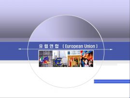 유럽연합 ( European Union )-1페이지