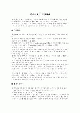 분식회계 [분석/조사]-1페이지