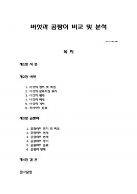 버섯과 곰팡이 비교 분석-1페이지