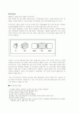 치과보철의 최신경향-1페이지