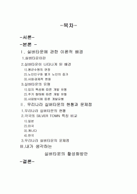 실버타운활성화 방안-1페이지