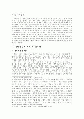 [사회과학]도시광역행정-1페이지