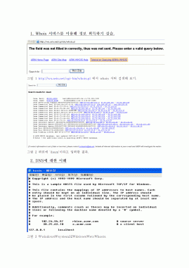 Whois & DNS-1페이지