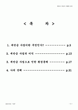 새만금사업의 과제와 전망-1페이지