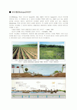 비오톱(Biotope)-1페이지