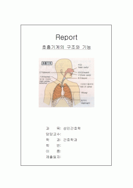 호흡기계 구조와 기능 호흡기계 기본원리-1페이지