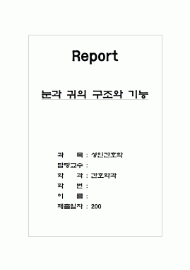 눈과 귀의 구조와 기능-1페이지