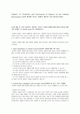 문화 환경에 미치는 영향의 예측과 사전 평가-1페이지