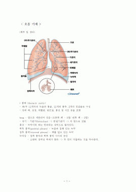 [논문] 호흡기계 정리-1페이지