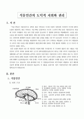 식물인간의 도덕적 지위-1페이지