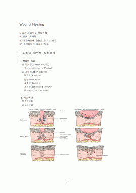 창상치유(Wound Healing)-1페이지