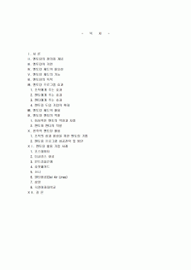 멘토링 분석과 사례-1페이지