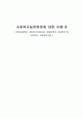 사회복지실천론_사회복지실천현장에 대한 이해 -1페이지