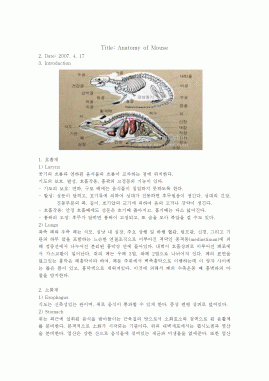 쥐해부실험-1페이지